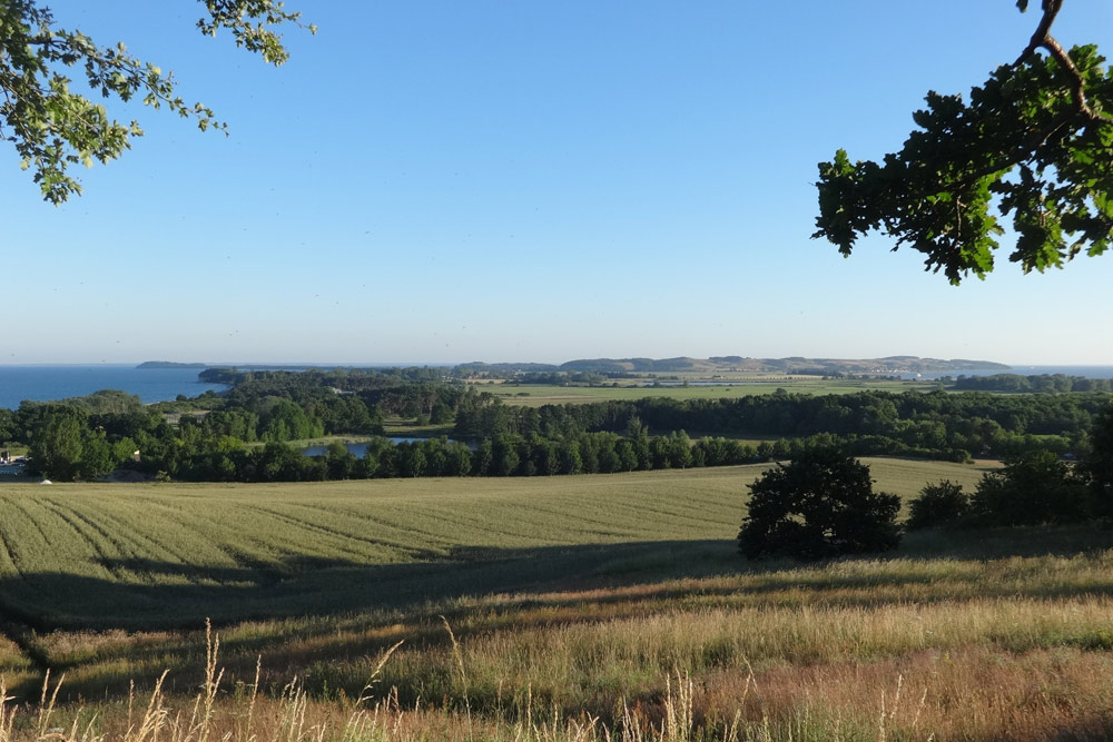 Der Speckbusch in Göhren » ScottyScout