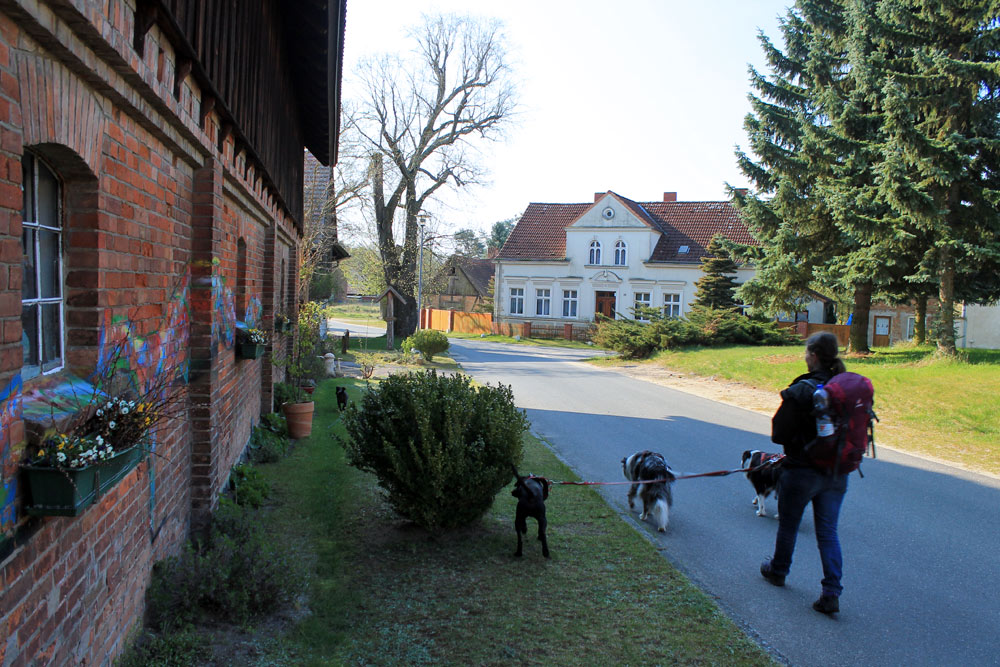 Eine Havelseen-Wanderung von Kratzeburg um den Käbelicksee » ScottyScout